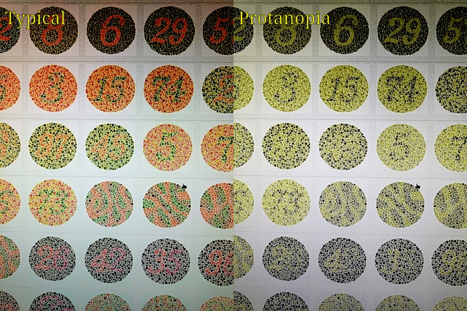 GitHub - eeejay/phoropter: A vision impairment simulator